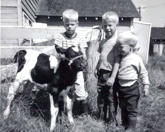 About – The Cheese Shop at Appel Farms