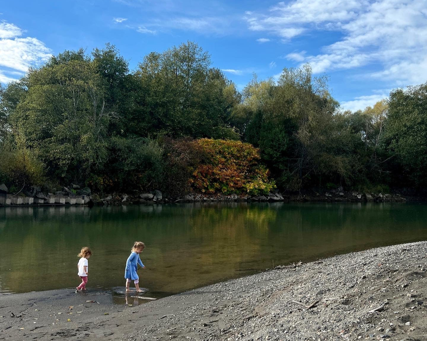 Appel Farms Cheese – The Cheese Shop at Appel Farms