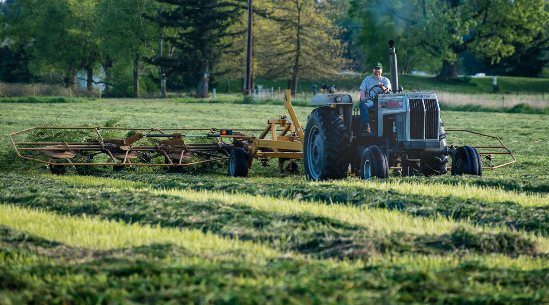 About – The Cheese Shop at Appel Farms