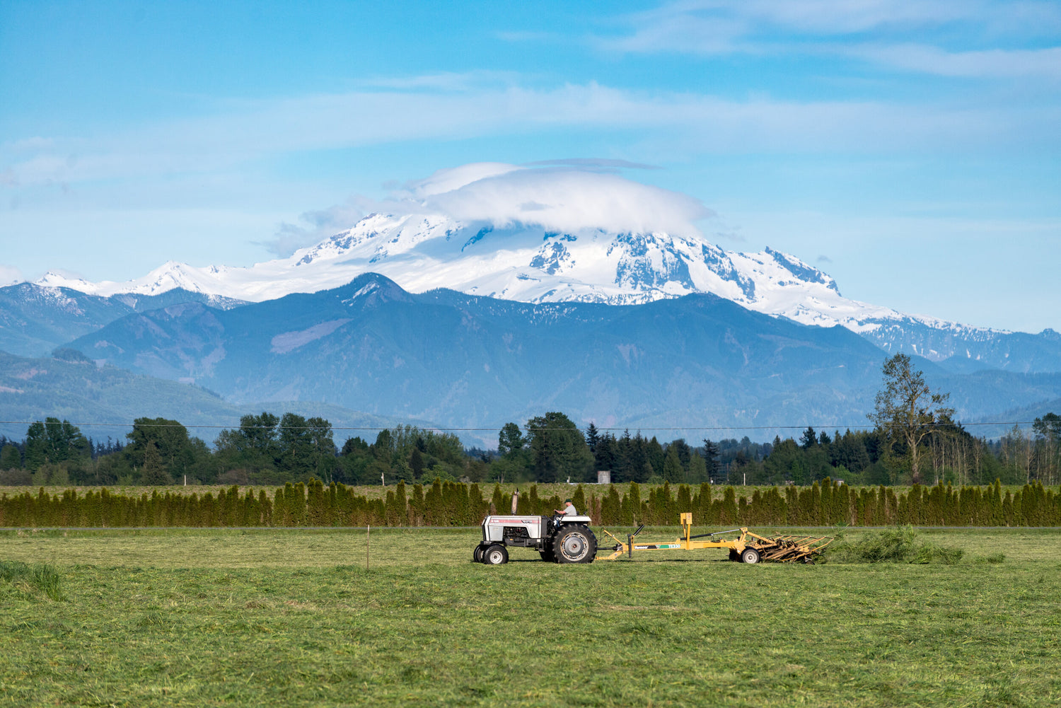 About – The Cheese Shop at Appel Farms