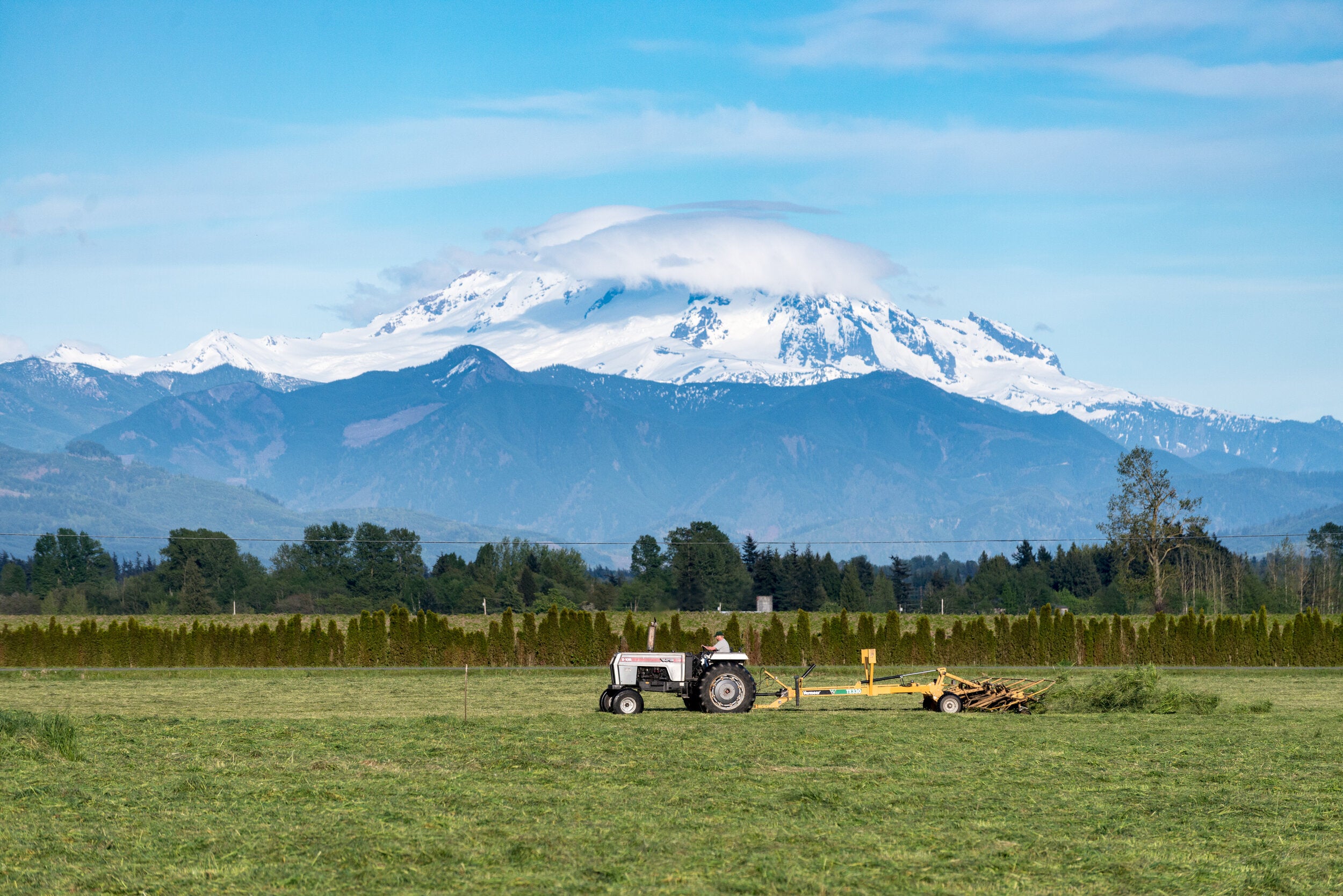 About – The Cheese Shop at Appel Farms